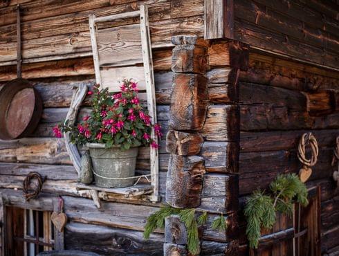 Nockberge Biosphere Reserve in Carinthia, Austria